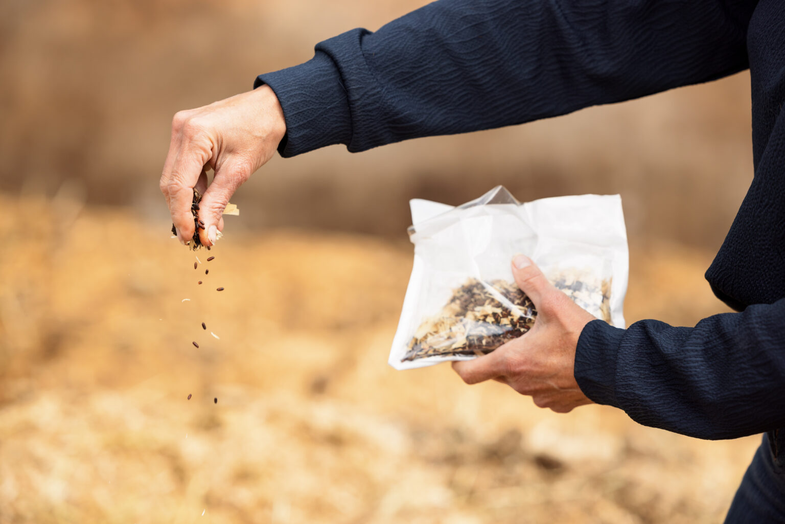 Going Green on Fly Control: How to Combat Flies Naturally - Equus Magazine