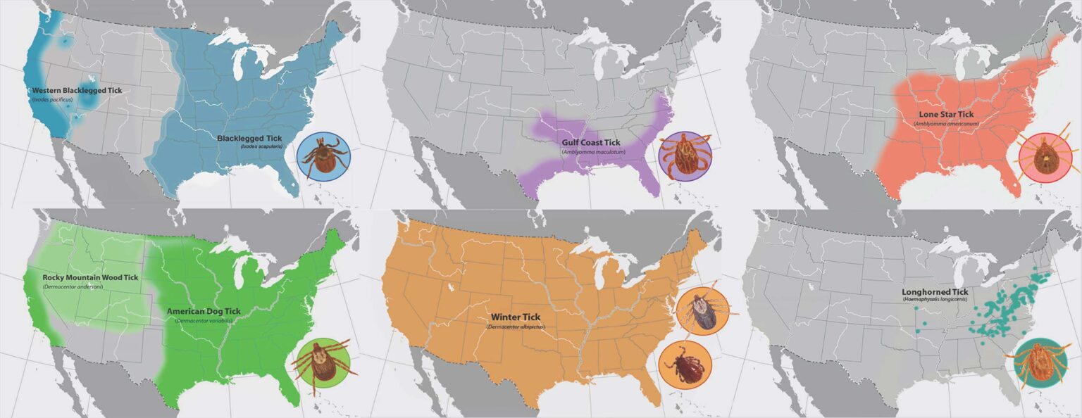 The growing threat of ticks - Equus Magazine